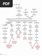 Pathway BPH (Benigna Prostat Hiperplasia) - Pabrik Pathway | PDF