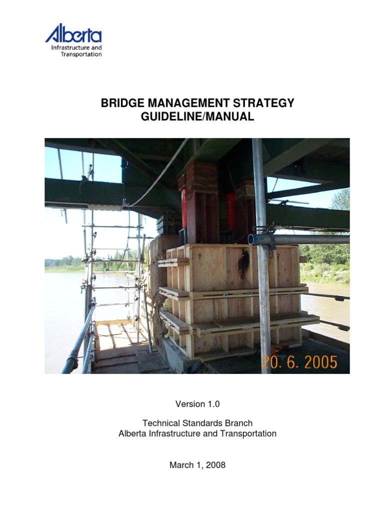 Bridge Management Strategy Guideline/Manual: Technical Standards Branch ...