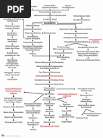 Pathway BPH (Benigna Prostat Hiperplasia) - Pabrik Pathway | PDF