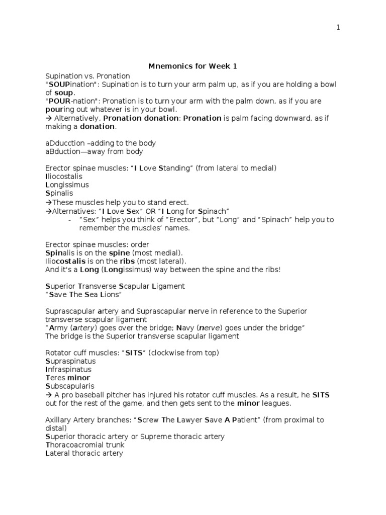 Anatomy Mnemonics | PDF | Heart Valve | Aorta