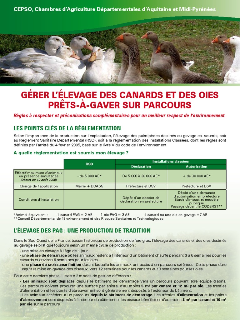 Elevage de Canard | PDF | Rotation culturale | Agriculture
