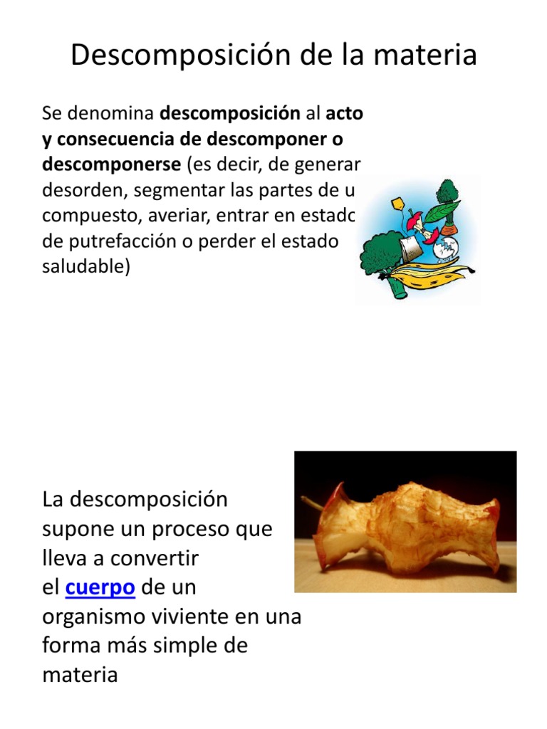 Descomposición de La Materia | PDF | Descomposición | Compost