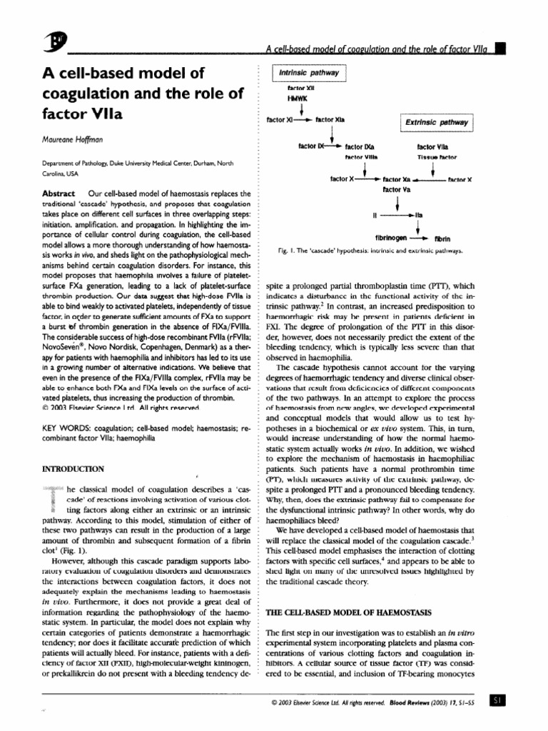 A Cell-Based Model of Coagulation and The Role of Factor VIIa - Blood ...