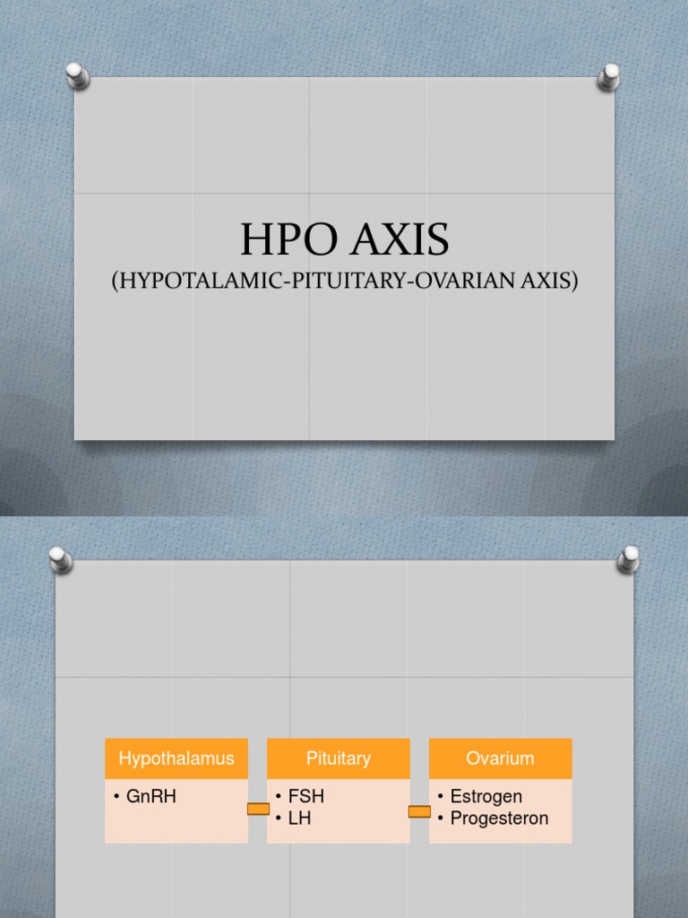 Hpo Axis: (Hypotalamic-Pituitary-Ovarian Axis) | PDF