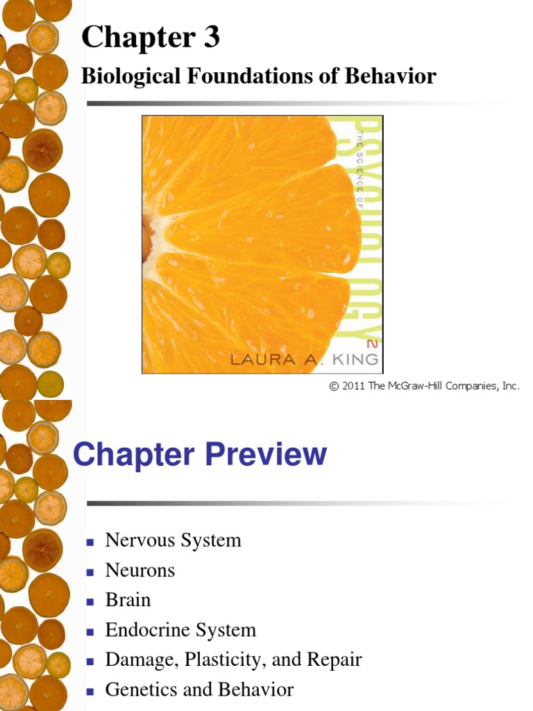 Biological Foundations of Behavior: © 2011 The Mcgraw-Hill Companies ...