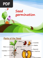 Mind Map | PDF | Cell (Biology) | Cell Membrane