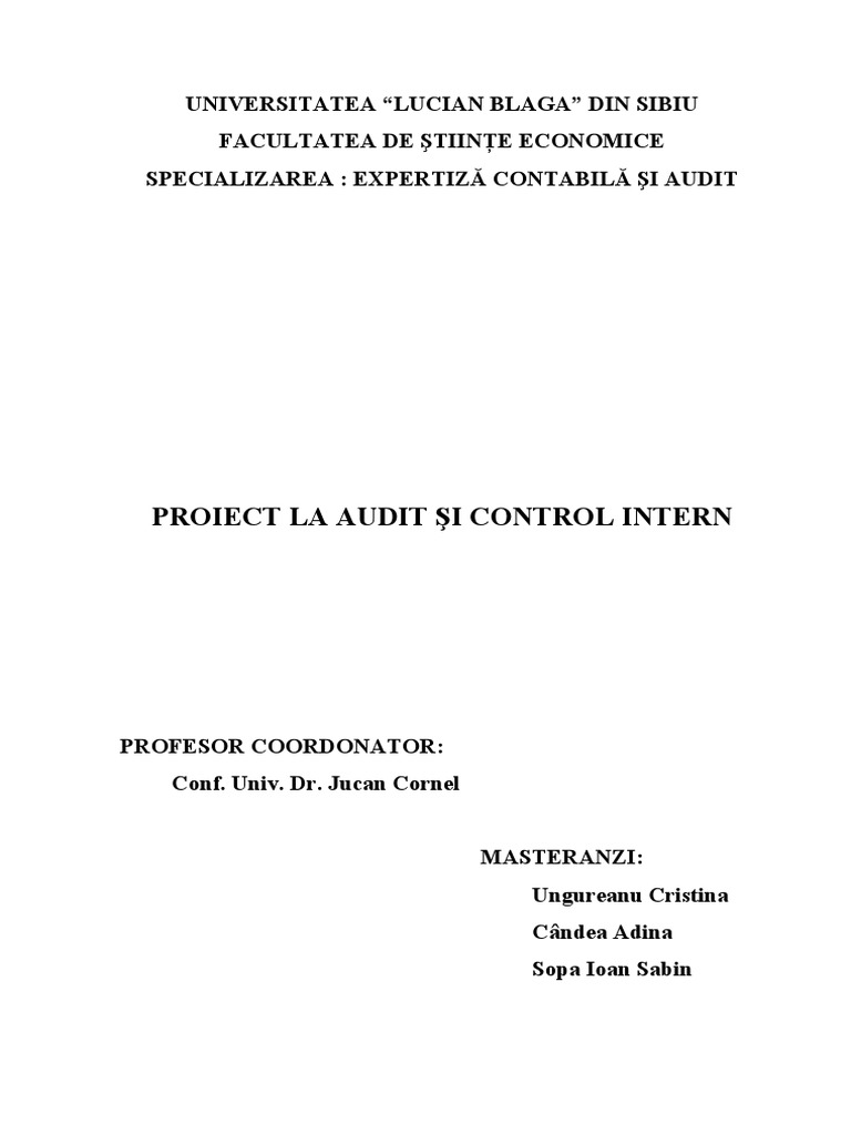 Proiect Audit Intern | PDF