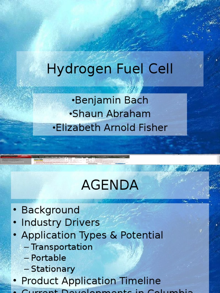 Hydrogen Fuel Cell: - Benjamin Bach - Shaun Abraham - Elizabeth Arnold ...