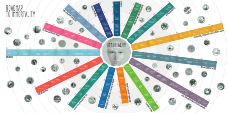 Aaa Roadmap Aaa | PDF | Life Extension | Brain