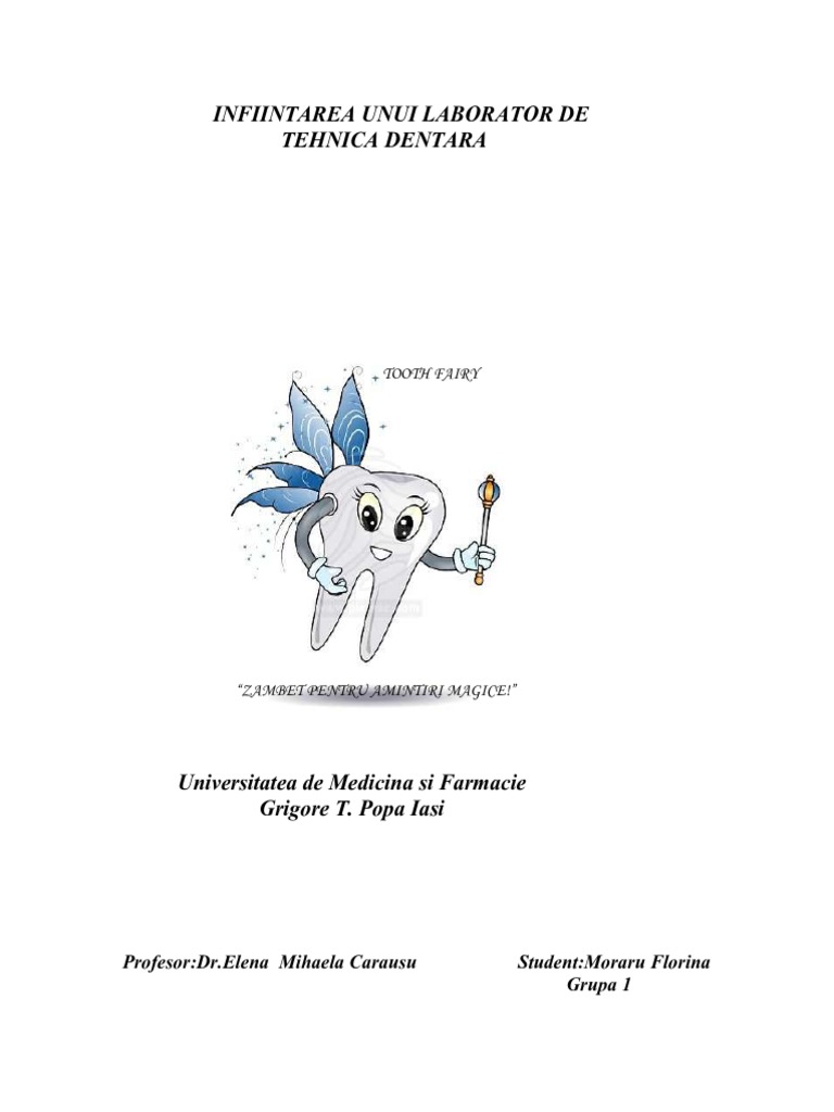 Proiect Infiintare Laborator | PDF