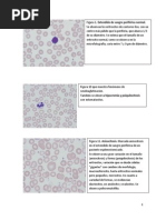 Ficha Técnica Quantrel | PDF | Medicamentos con receta | El embarazo