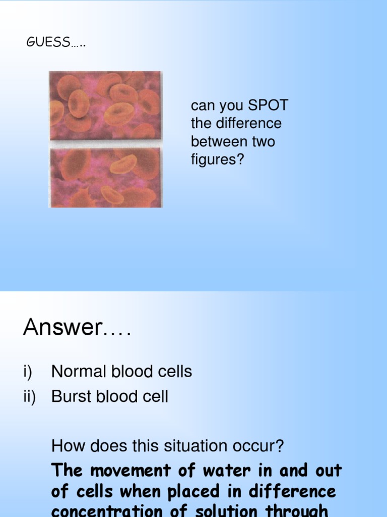 4.movement in Every Life (Iso, Hypo and Hyper) | PDF | Osmosis | Organisms