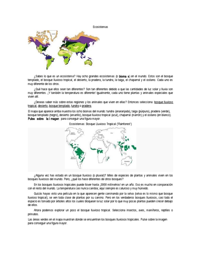 Ecosistemas: Diversidad y Adaptaciones | PDF | Biodiversidad | Habitat