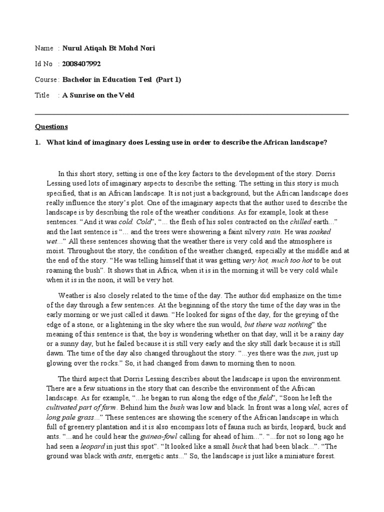 Analysis of "A Sunrise on the Veld" | PDF | Nature