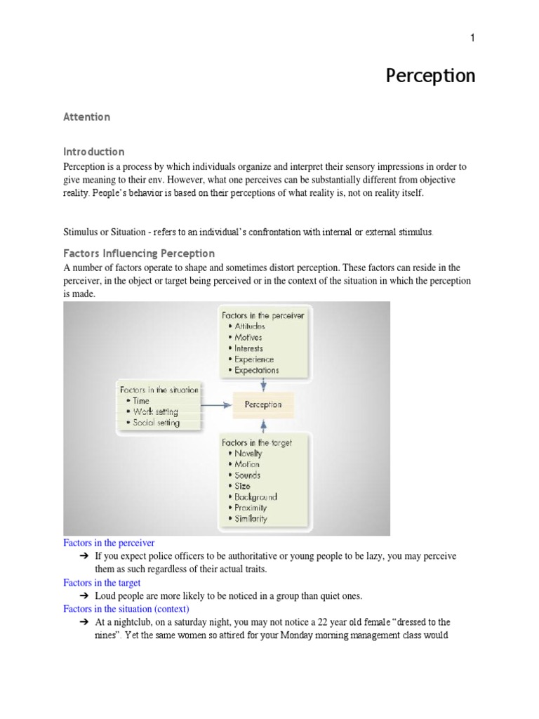 Perception: Attention | PDF | Perception | Performance Appraisal
