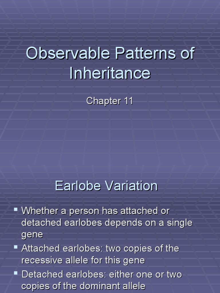 ch11 Lecture (Observable Patterns of Inheritance) | PDF | Dominance (Genetics) | Zygosity
