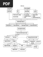 Web of Caution (Woc) Antenatal Care (Anc) | PDF