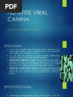 Triaditis felina: diagnóstico y tratamiento | PDF | Inflamación | Páncreas