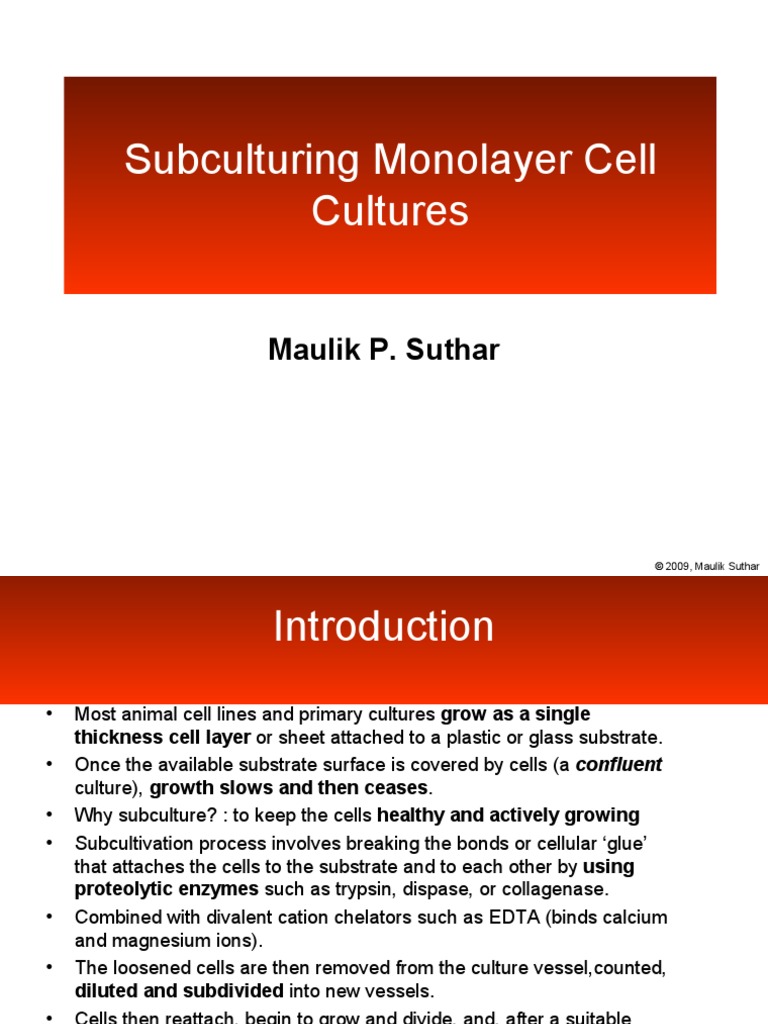 Lecture4 - Monolayer Cell Cultures | PDF | Cell Culture | Growth Medium
