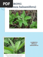 Chingolo Deli Restaurant Menu 05 23 | PDF