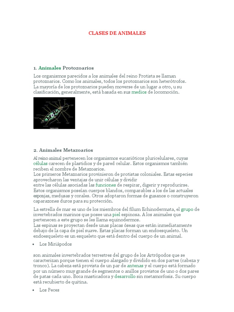 Clases de Animales | PDF