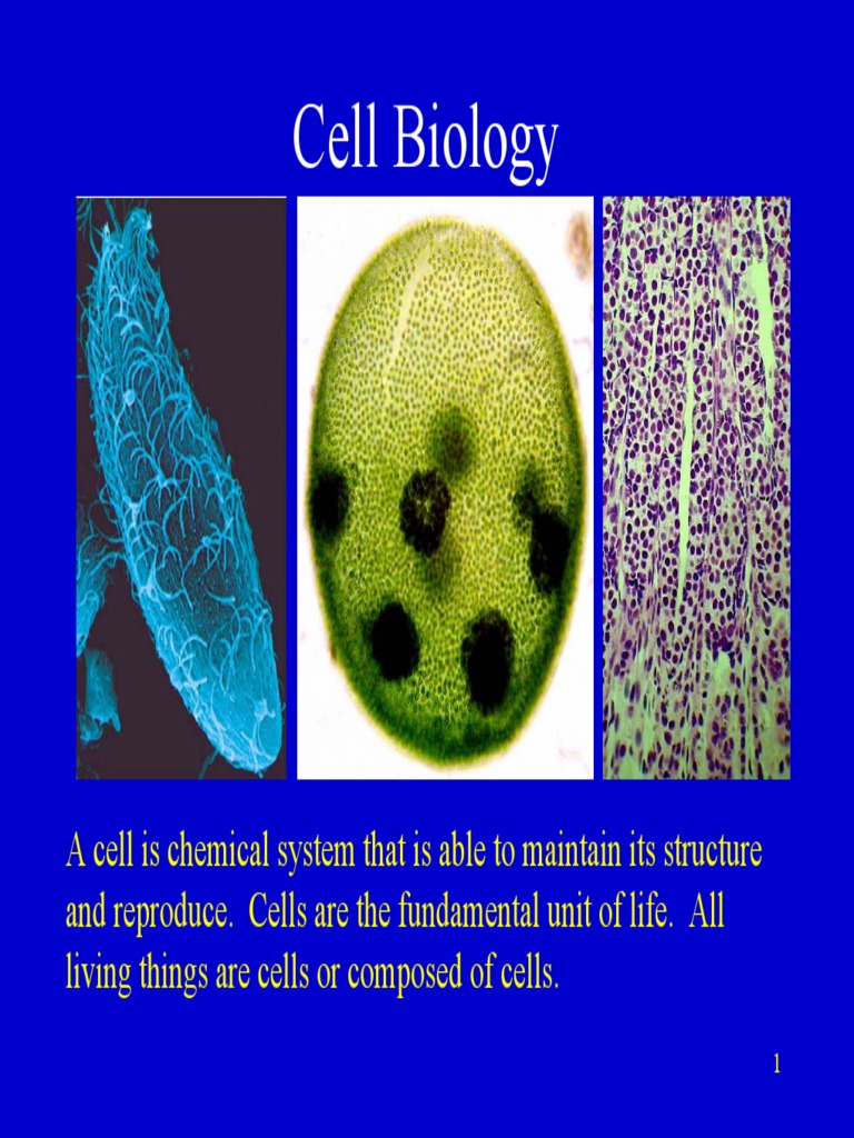 Cell Biology | PDF