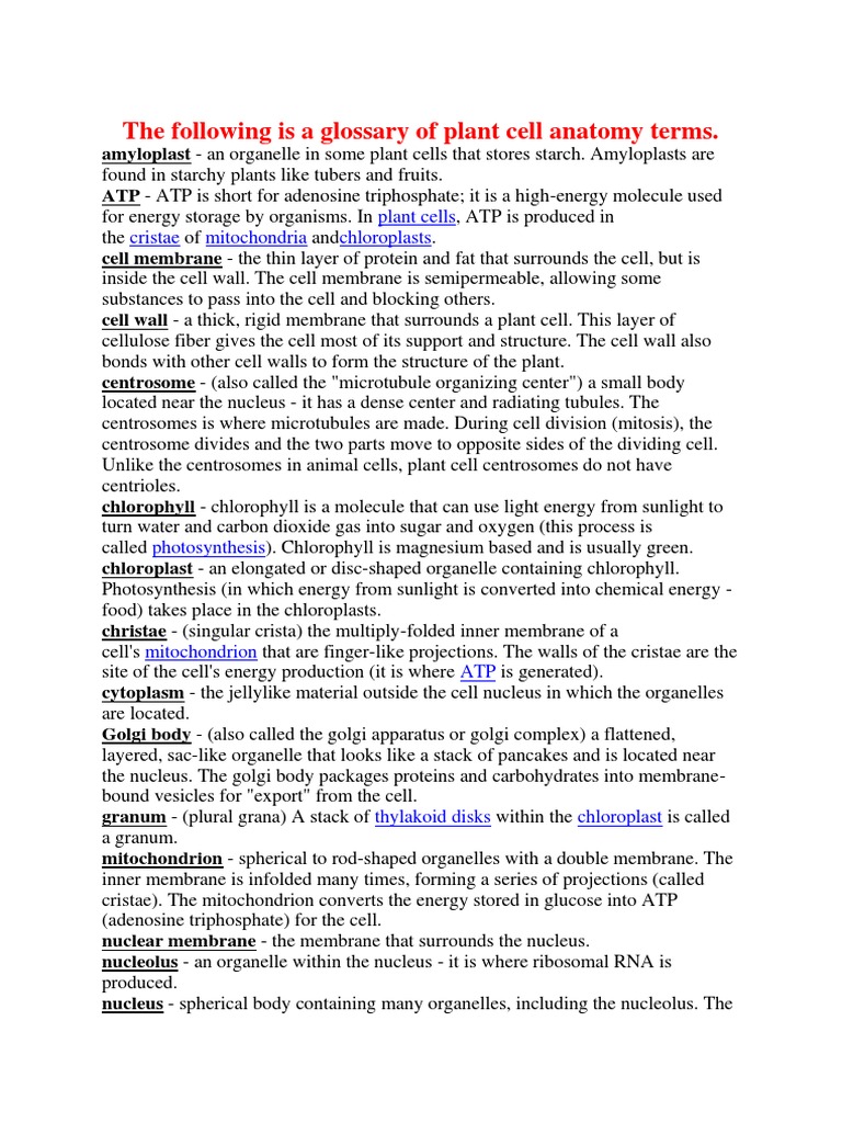 The Following Is A Glossary of Plant Cell Anatomy Terms.: Plant Cells ...