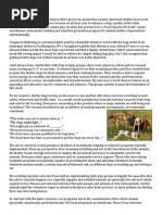 Dogs Playing For Life Manual | PDF | Dogs | Animal Training