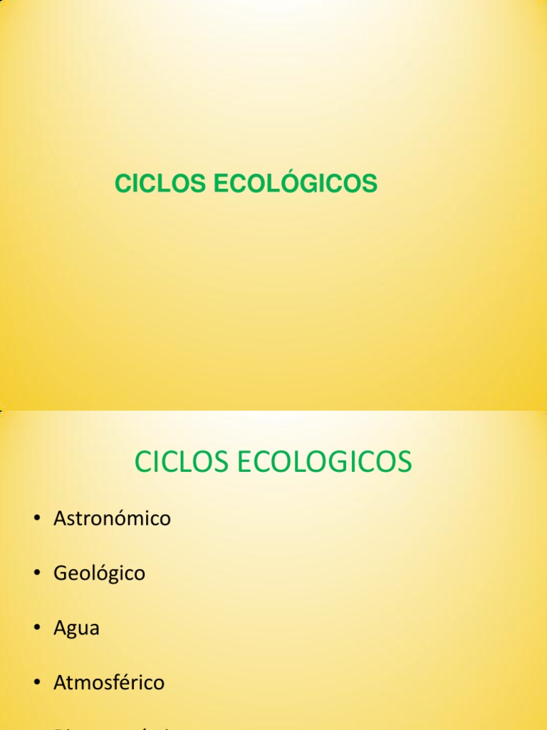Capitulo 4. Ciclos Ecologicos | PDF | Ciencia y matemáticas