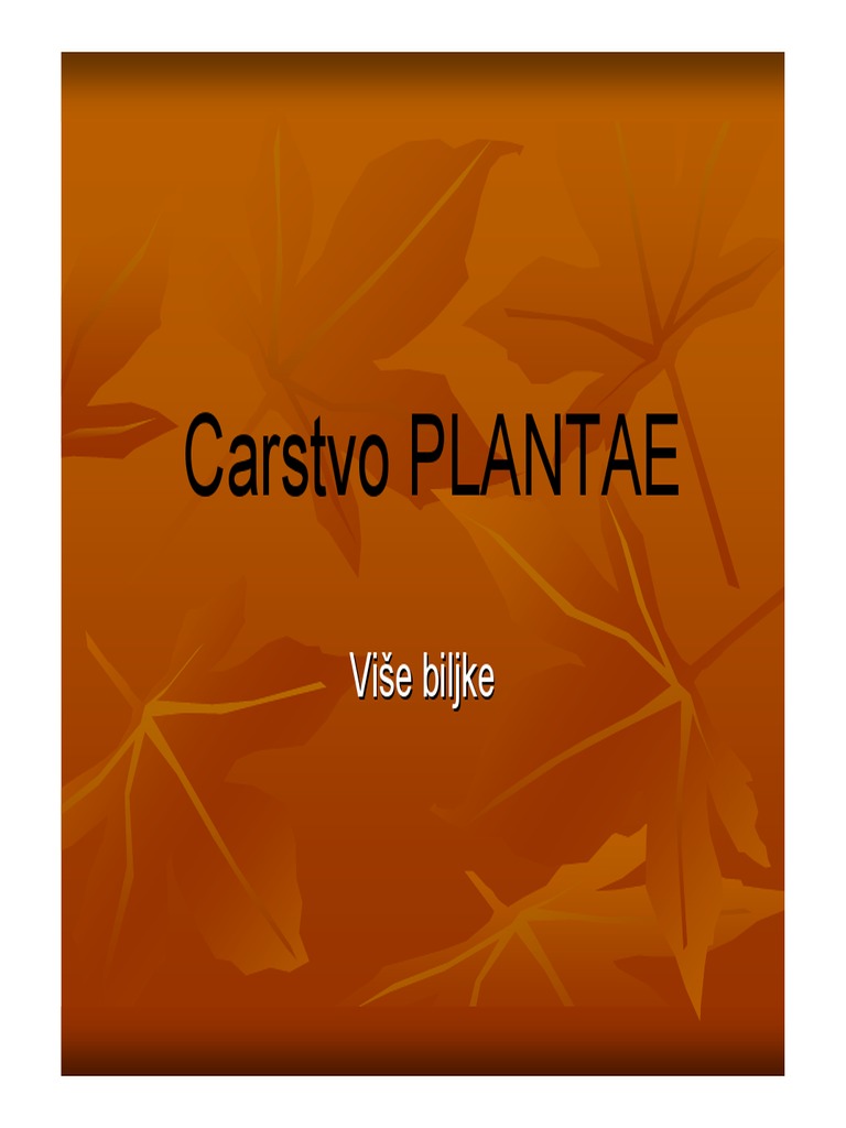 Cormophyta | PDF