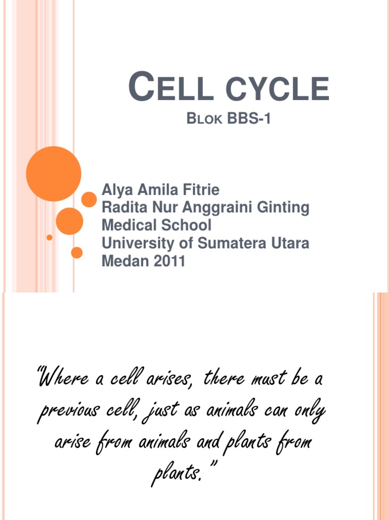 ELL Cycle: B BBS-1 | PDF | Mitosis | Cell Cycle