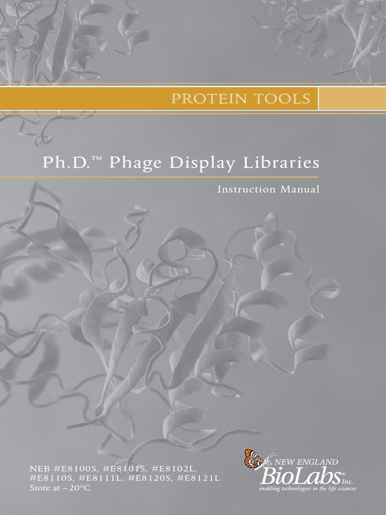 Manual Ph.D. Phage Display Libraries | PDF | Molecular Biology | Life ...