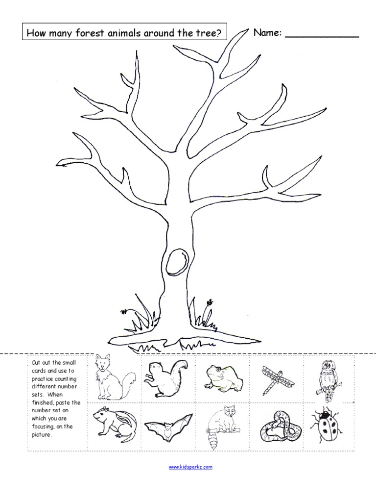 Counting Forest Animals Activity | PDF | Home & Garden