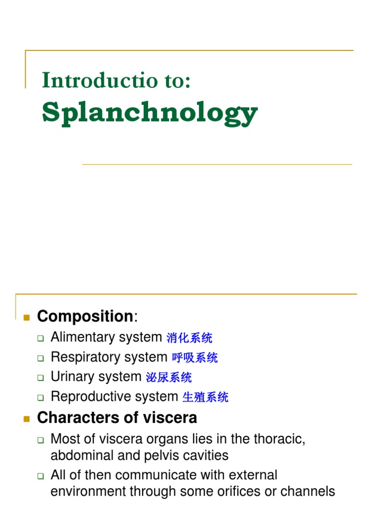 Splanchnology | Lung (18 views)