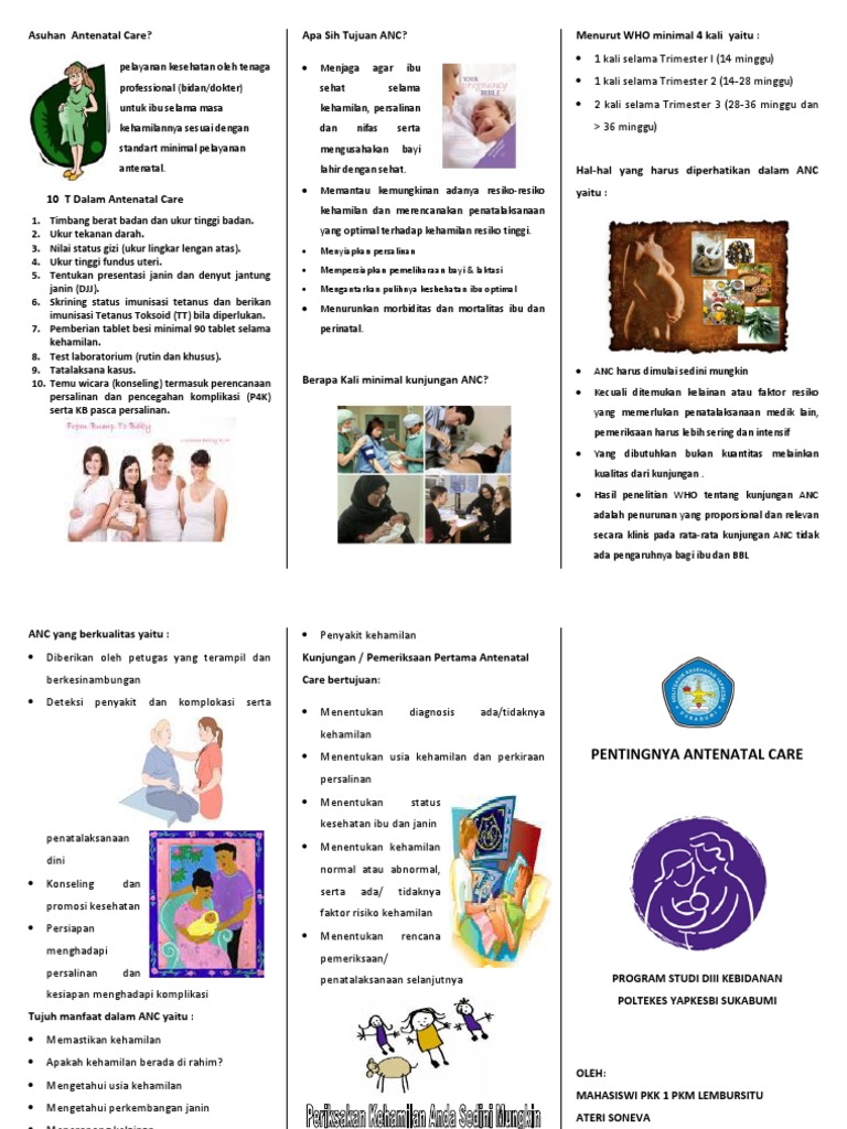 Leaflet ANC 123 | PDF