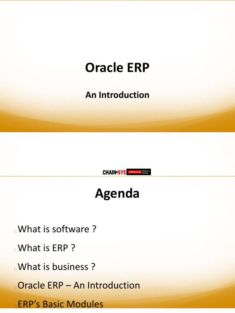 Oracle ERP - Basics | PDF | Enterprise Resource Planning | Oracle Corporation