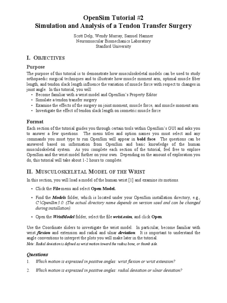 Open Sim Tutorial 2 Pdf Anatomical Terms Of Motion Thumb