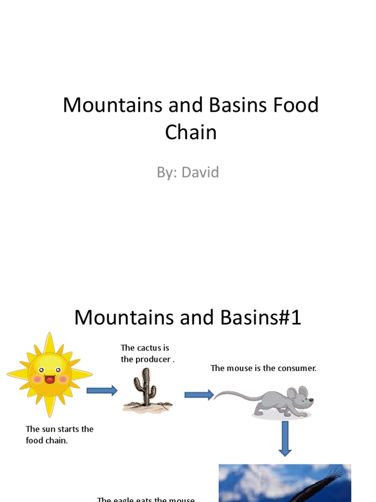 Mountains and Basins Food Chain | PDF | Travel