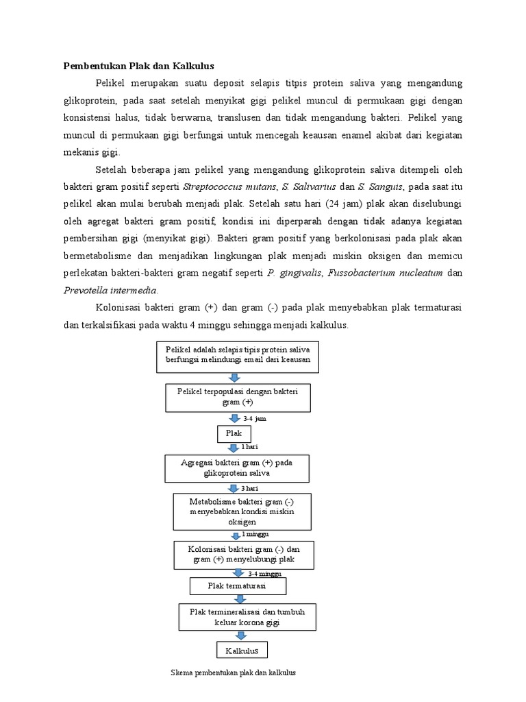 Pembentukan Plak Dan Kalkulus | PDF | Kesehatan Holistik