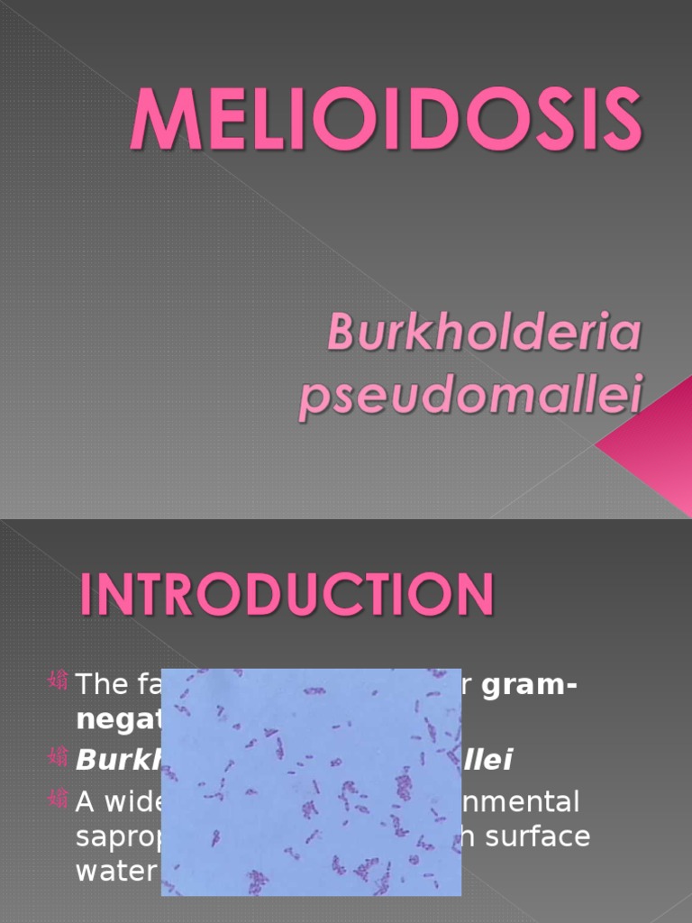 MELIOIDOSIS | Diseases And Disorders | Immunology
