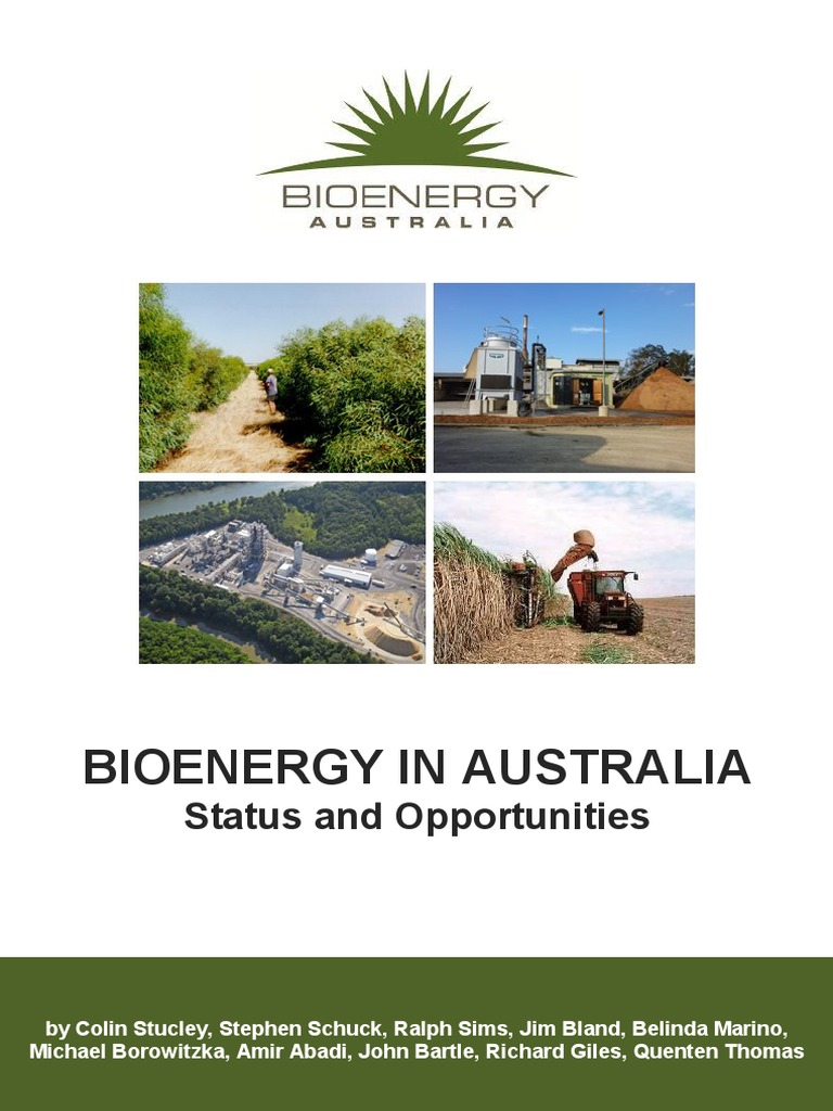 Bioenergy in Australia Rev 1 | PDF | Technology & Engineering
