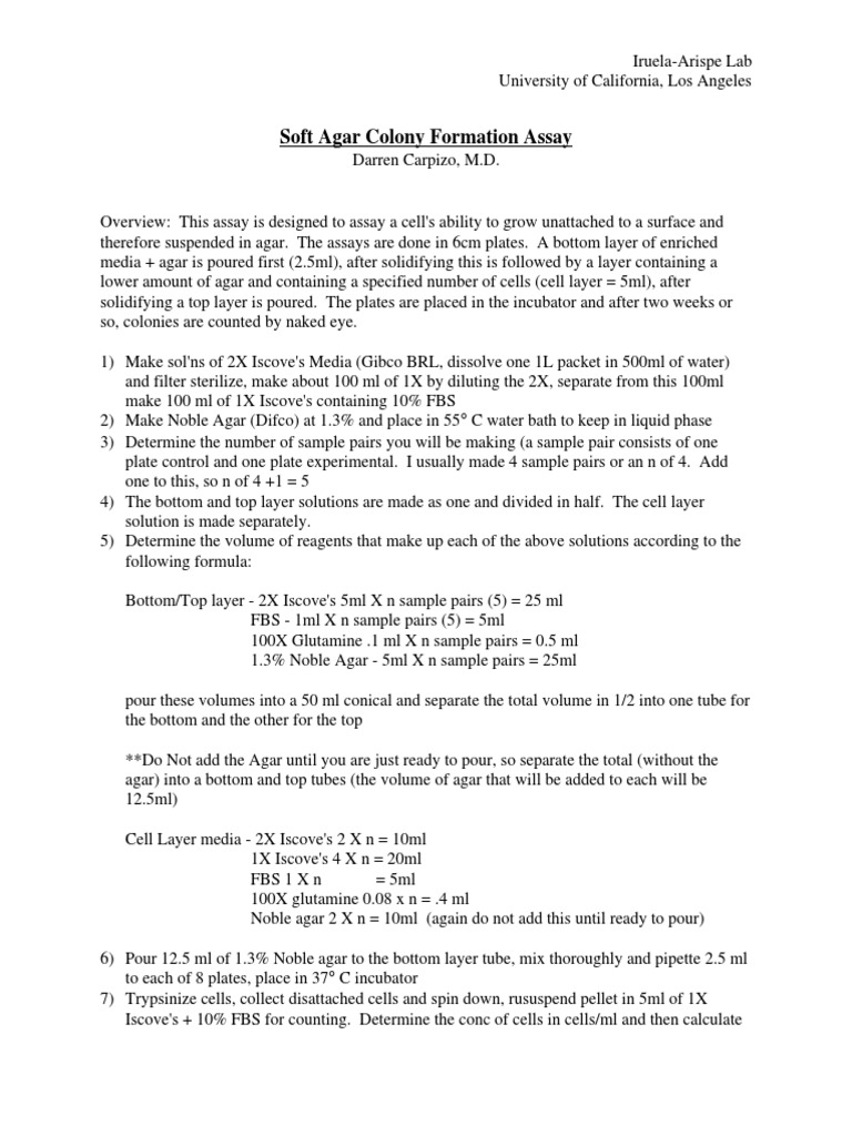 Soft Agar Colony Formation Assay Protocol | PDF | Agar | Laboratories