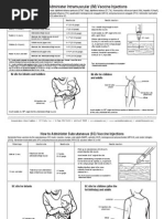 IM Injection Technique: Deltoid Muscle | PDF | Injection (Medicine ...