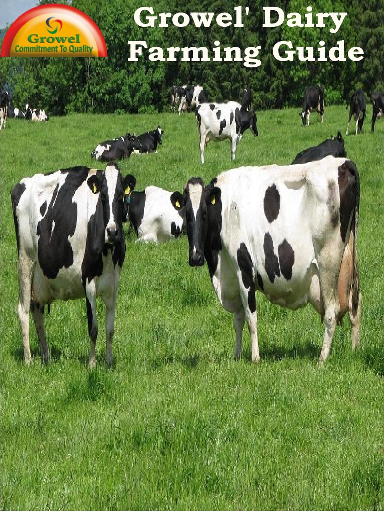 Dairy Farming Guide. | PDF | Dairy Cattle | Dairy Farming