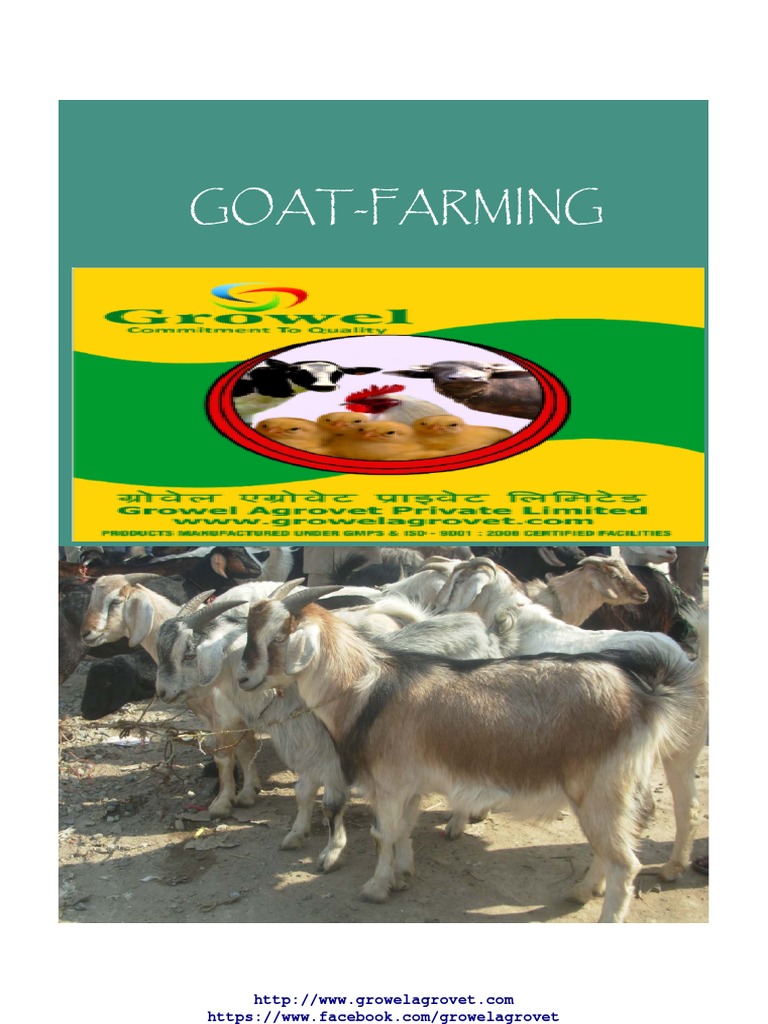 Goat Farming Guide | PDF | Goat | Livestock