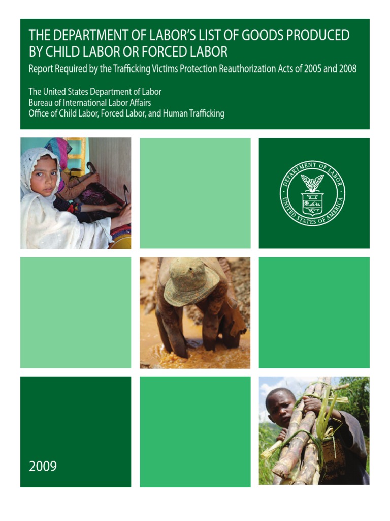 The Department of Labor's List of Goods Produced by Child Labor or ...