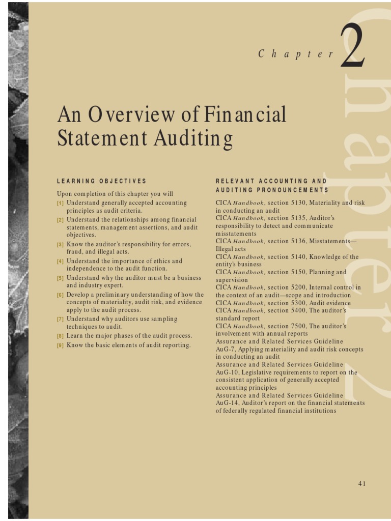 FS Audit Process | Financial Audit | Auditor's Report