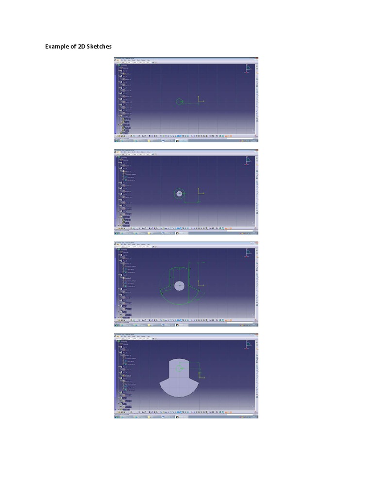 Cad Report | PDF