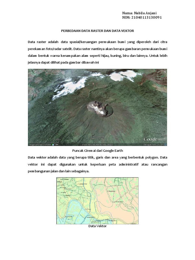 Perbedaan Data Raster Dan Data Vektor | PDF