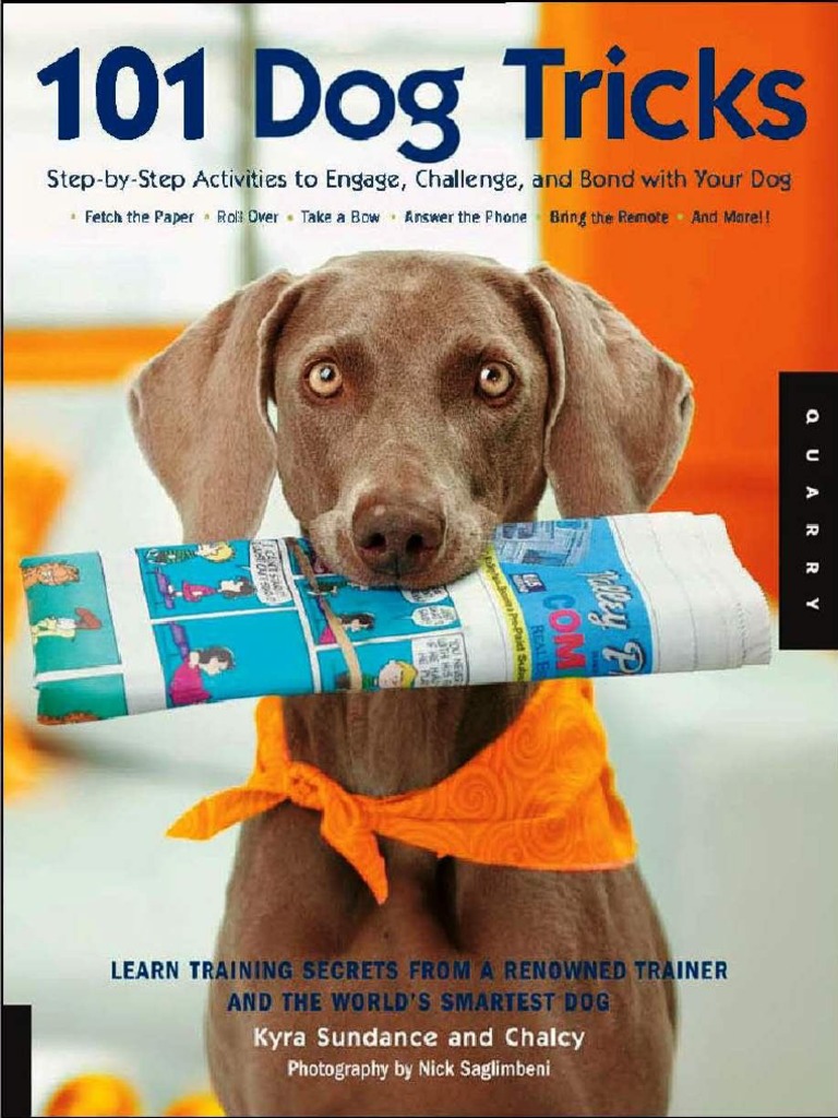 101 Dog Trick | PDF | Animal Training | Dogs